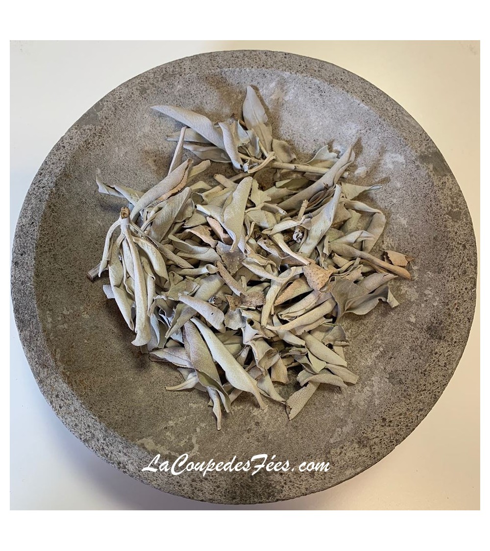 Sauge Blanche - Salvia Apiana