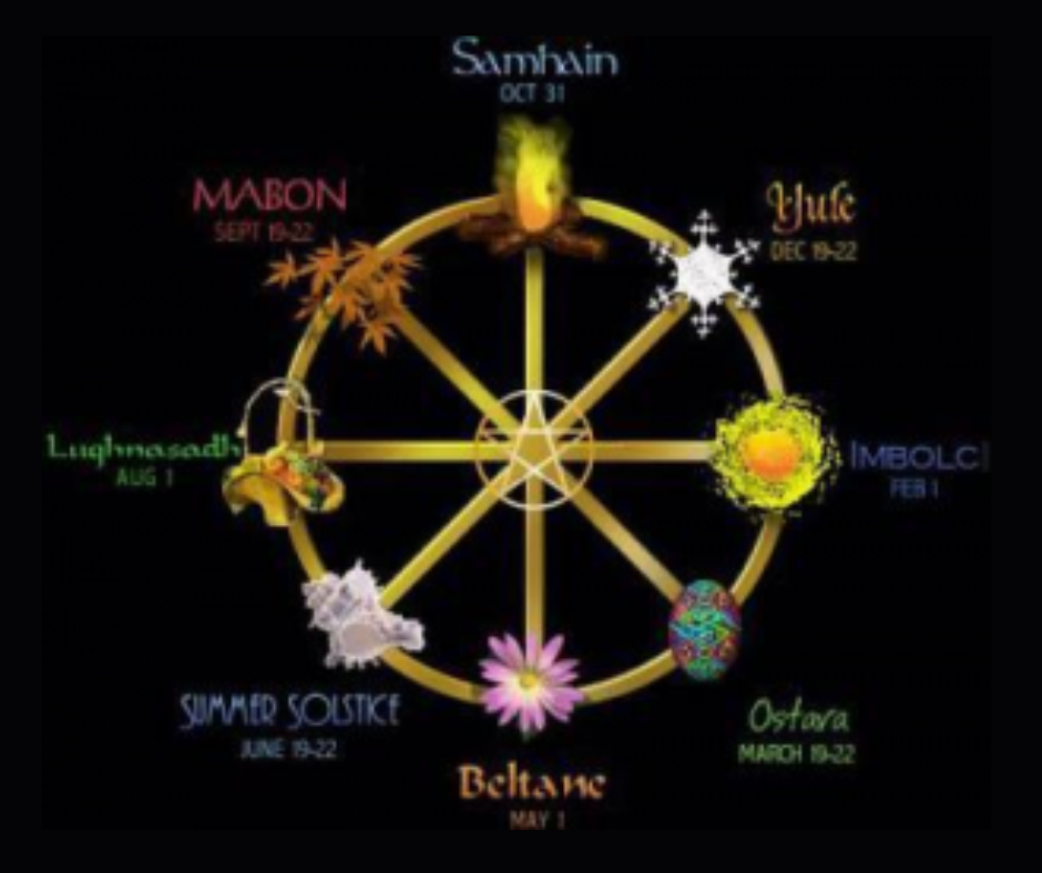 La Magie des couleurs - La Coupe des Fées